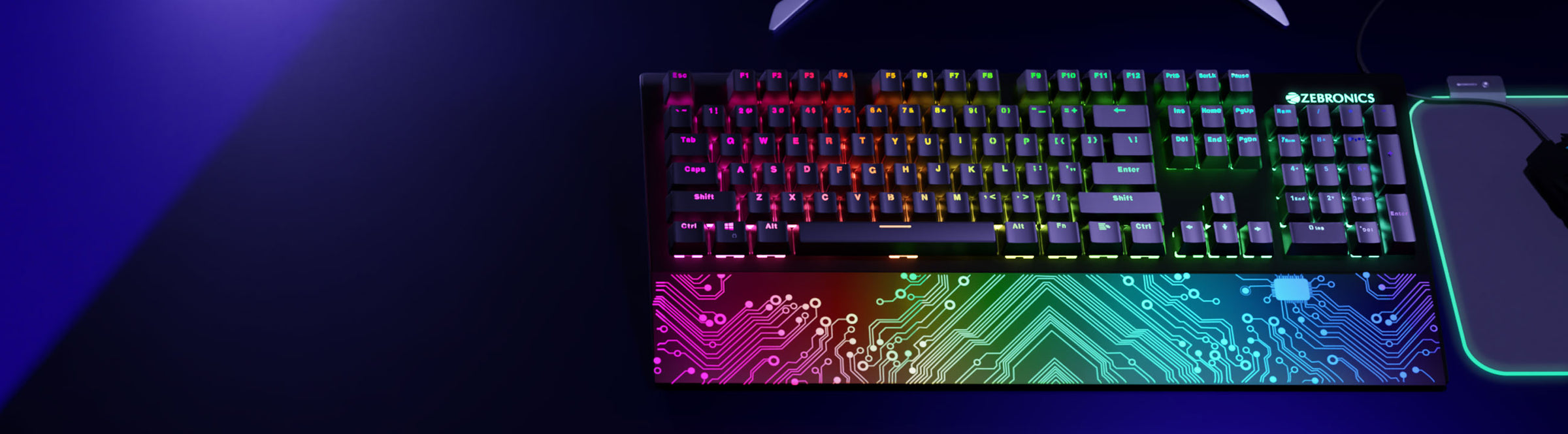 Premium Gaming Keyboard – Zebronics | RGB Gaming Keyboards