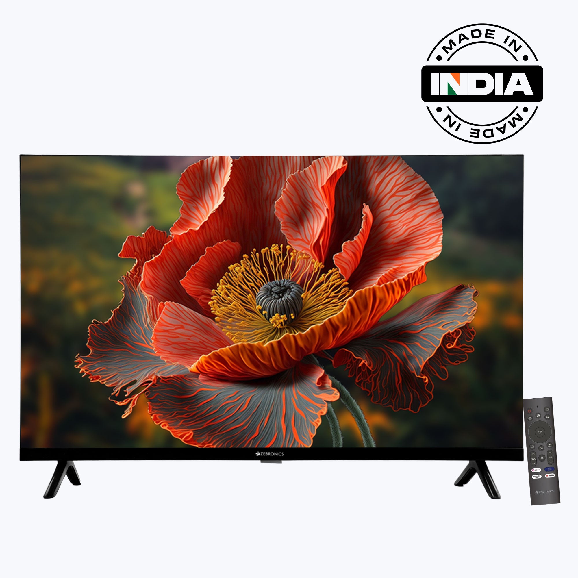 Zebronics 32P4 LED TV