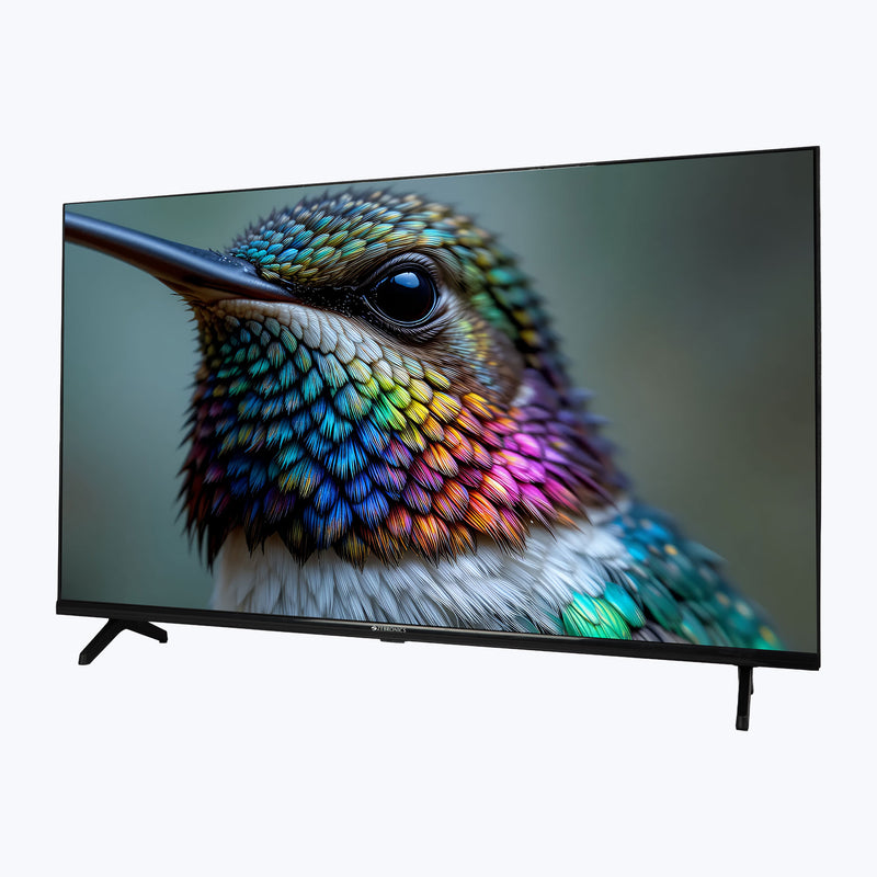 Zebronics 43G1 Plus LED TV