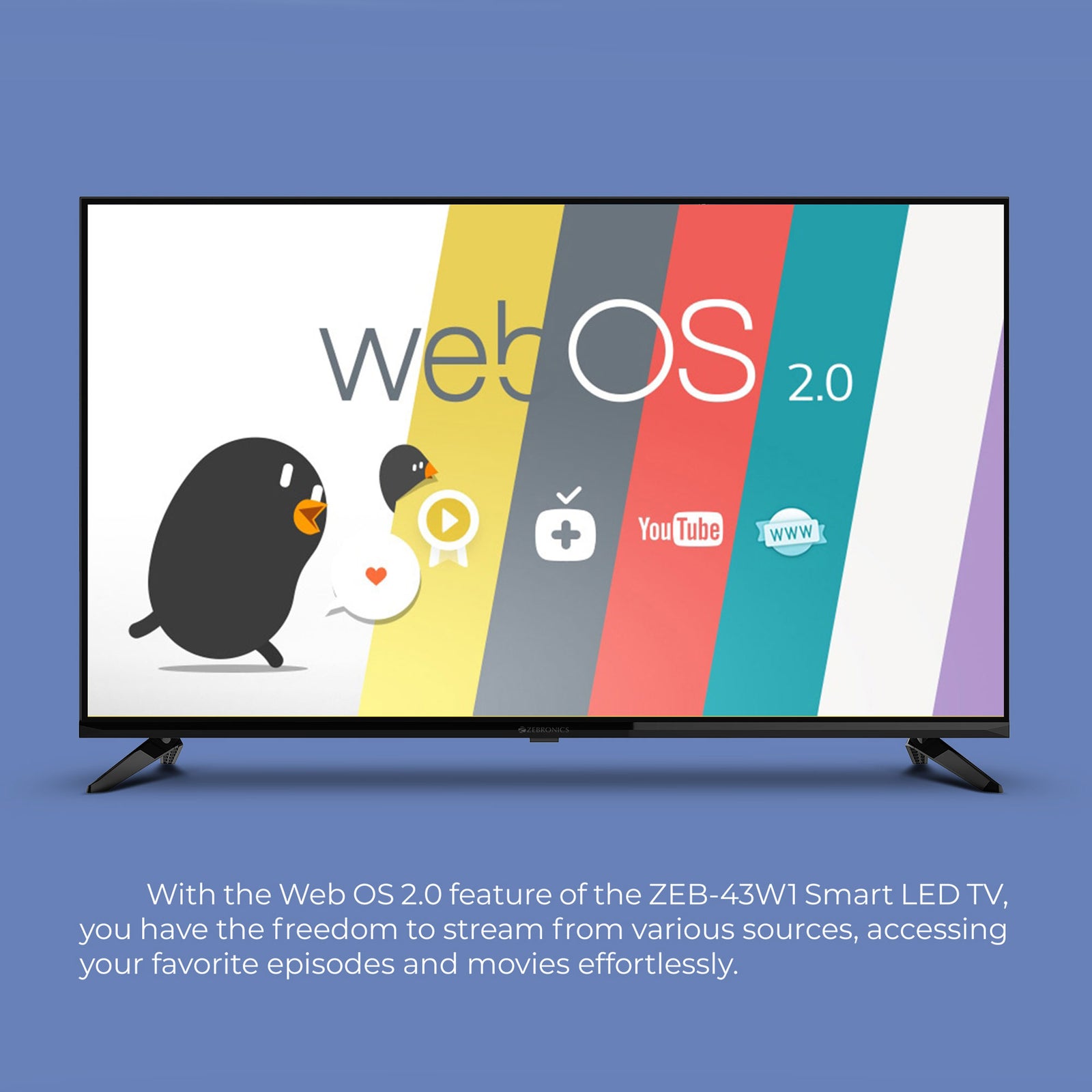 Zebronics 43W1 LED TV