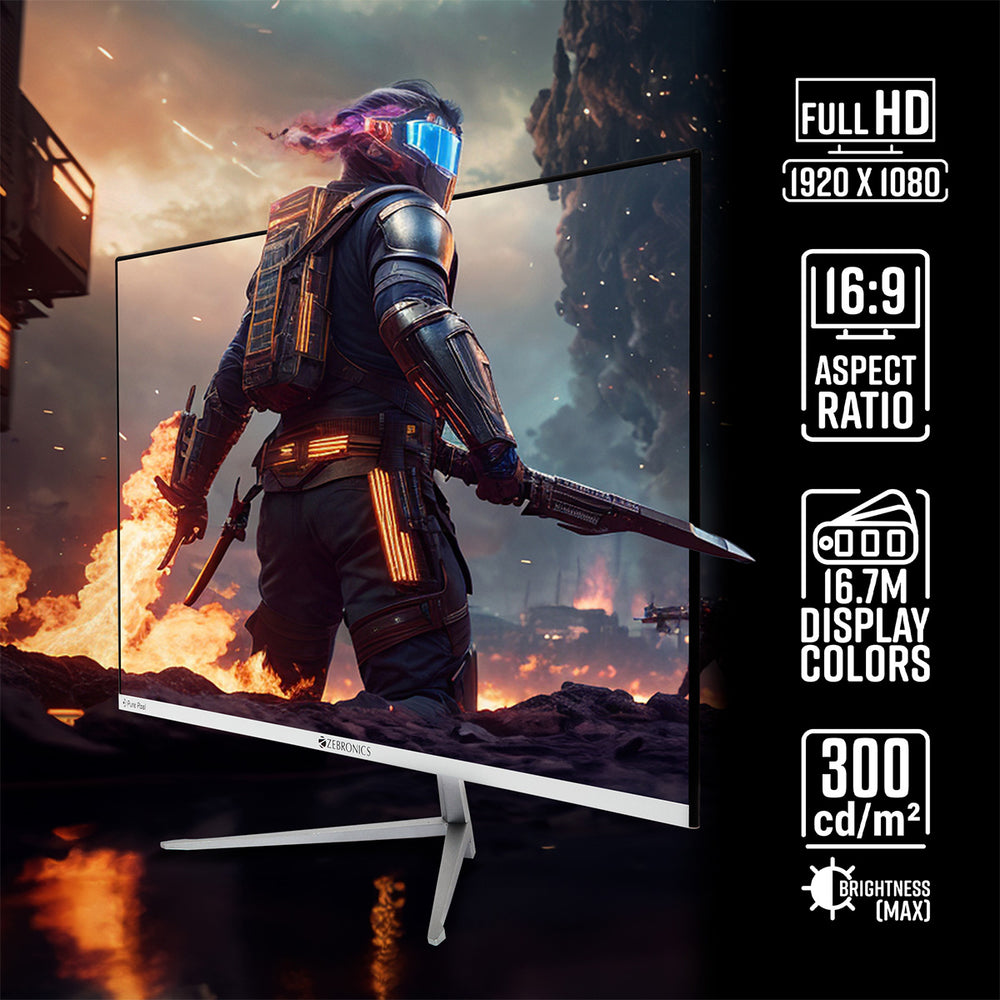 Zebronics A24FHD (165Hz) Gaming Monitor