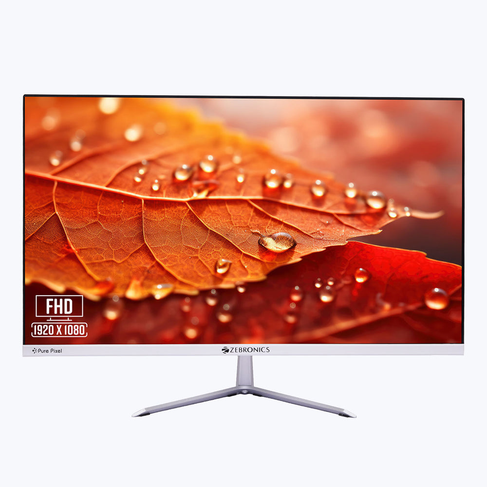 Zebronics EA124 (75Hz) LED Monitor