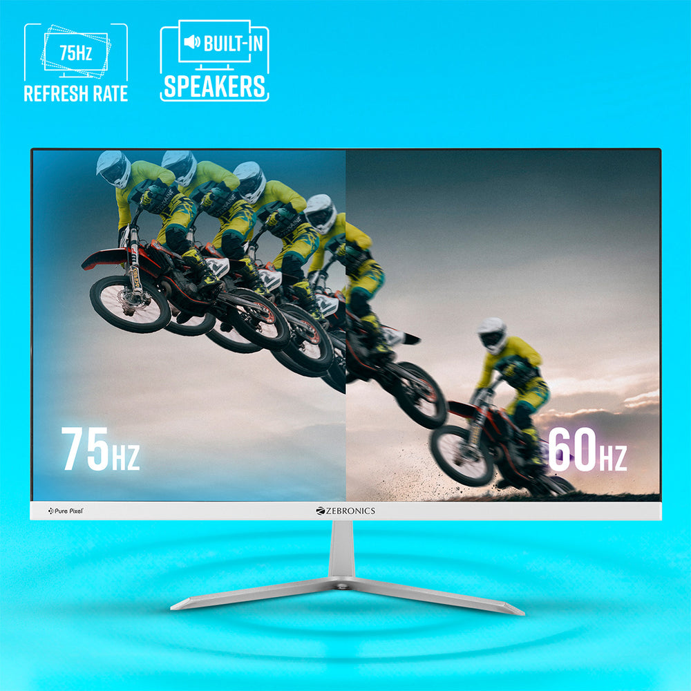 Zebronics EA124 (75Hz) LED Monitor