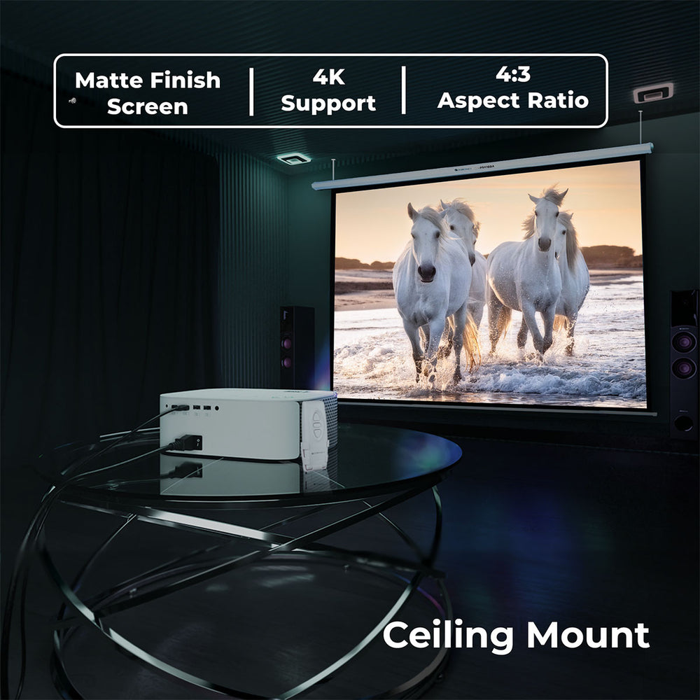 Zebronics PSH100A Projector Screen