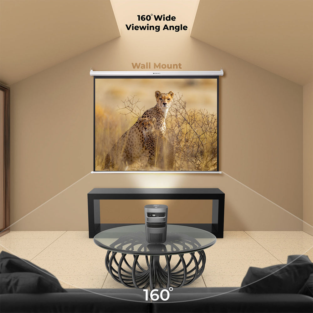 Zebronics PSM100A Projector Screen