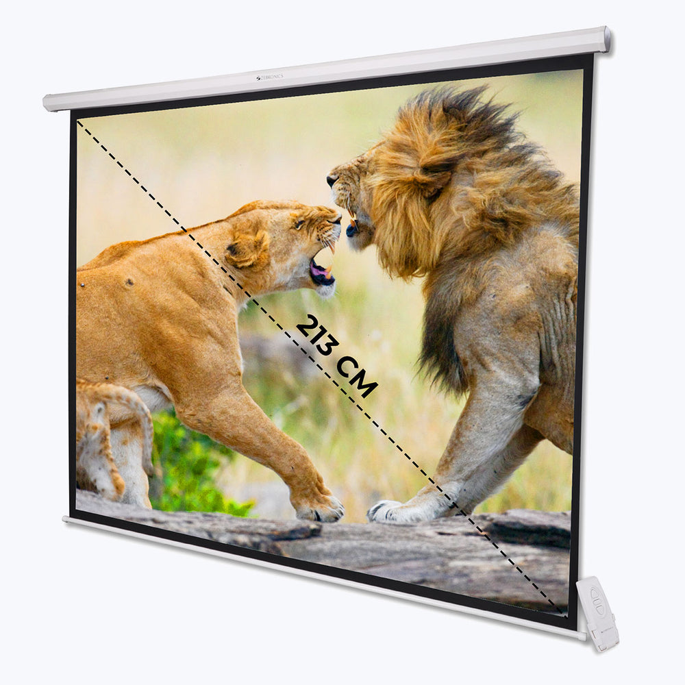 Projector Screen