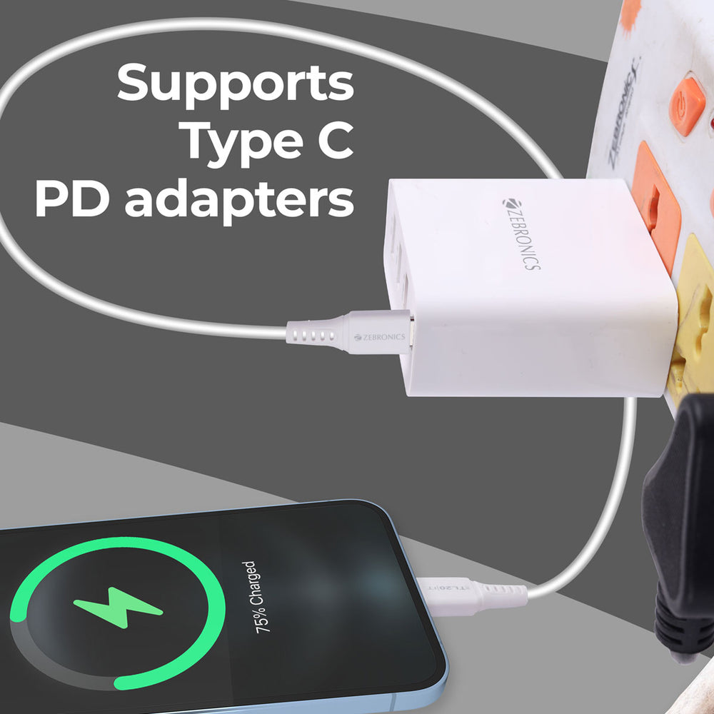 ZEB-TL20 - Type C to Lightning cable