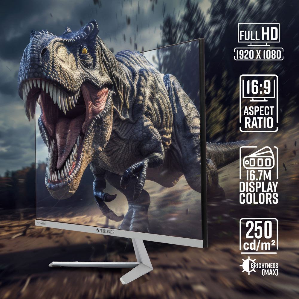 Zebronics A24FHD LED (100Hz) Monitor