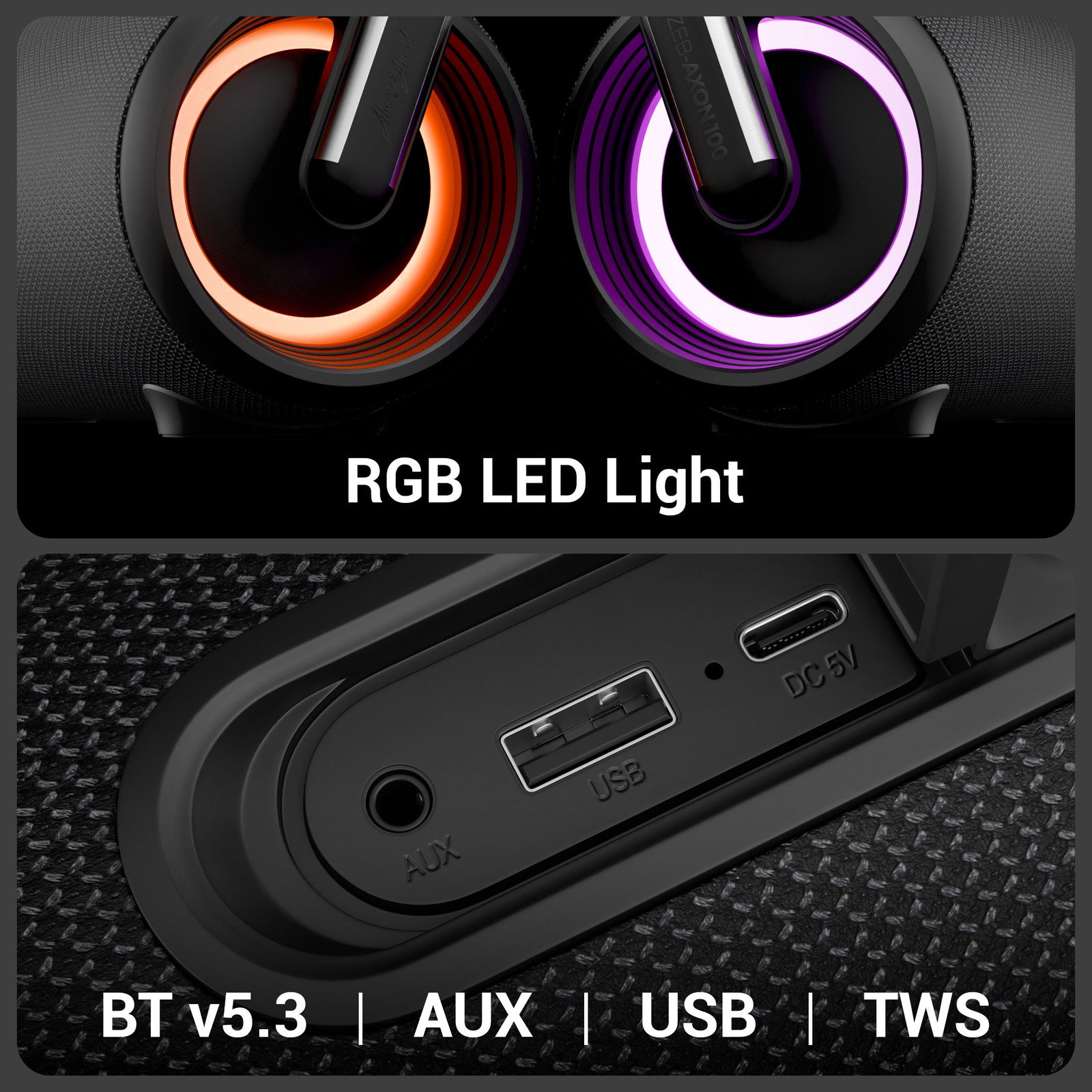 Zebronics Axon 100 Portable Wireless Speaker