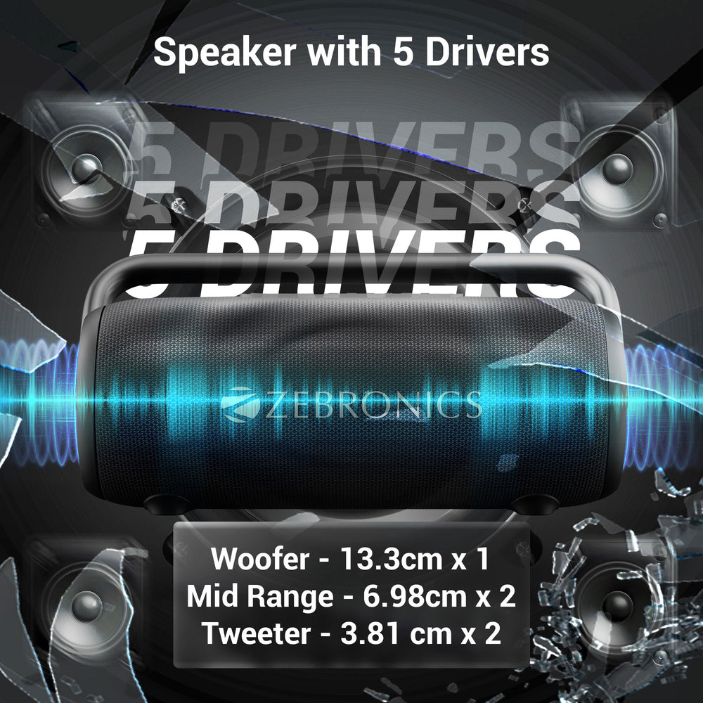 Zebronics Axon 200 Portable Wireless Speaker