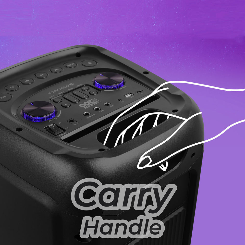 Zebronics Buddy 200 Wireless Portable Speaker