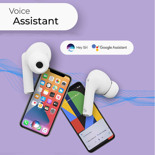 Zebronics Chime Wireless Earbuds