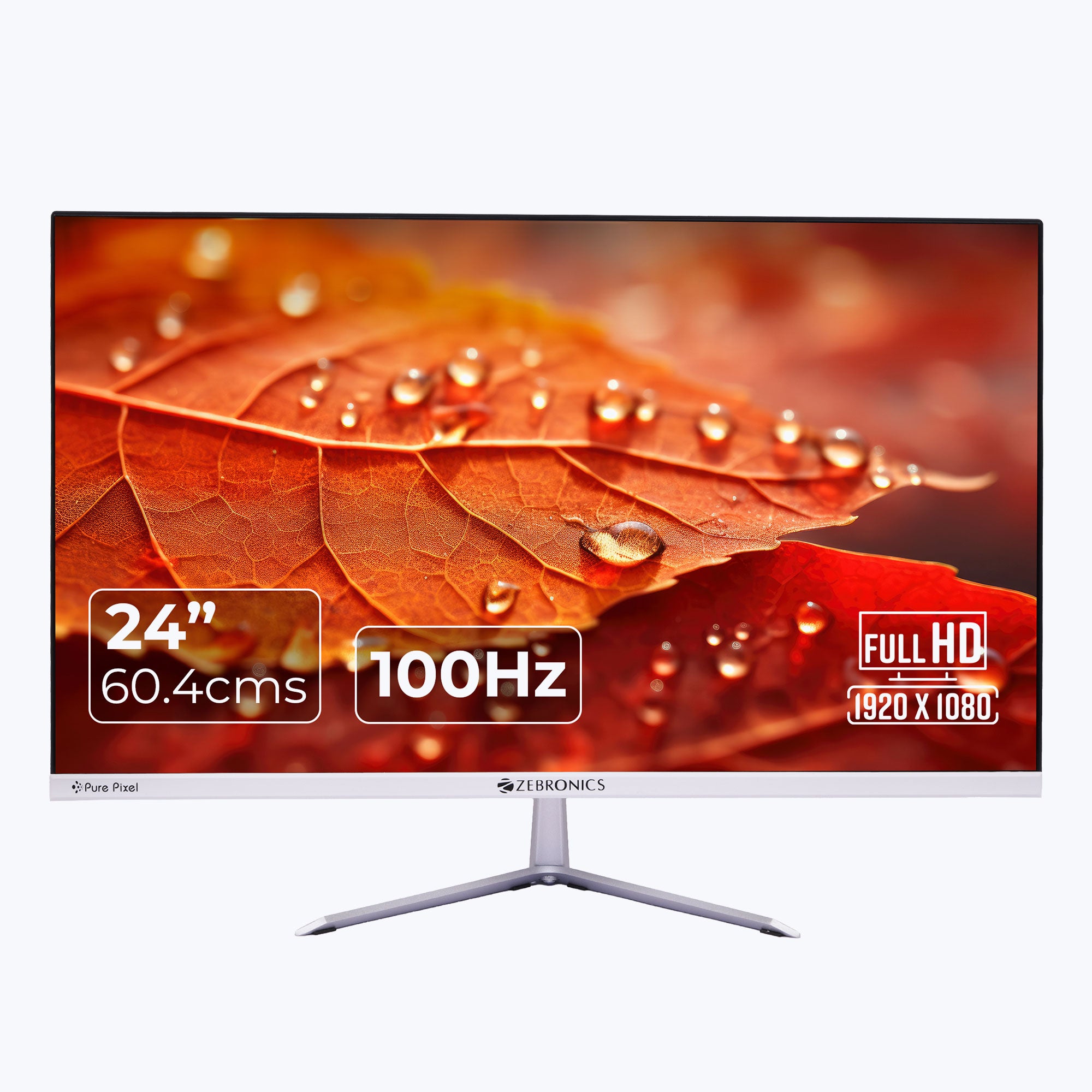 Zebronics EA124 (100Hz) LED Monitor