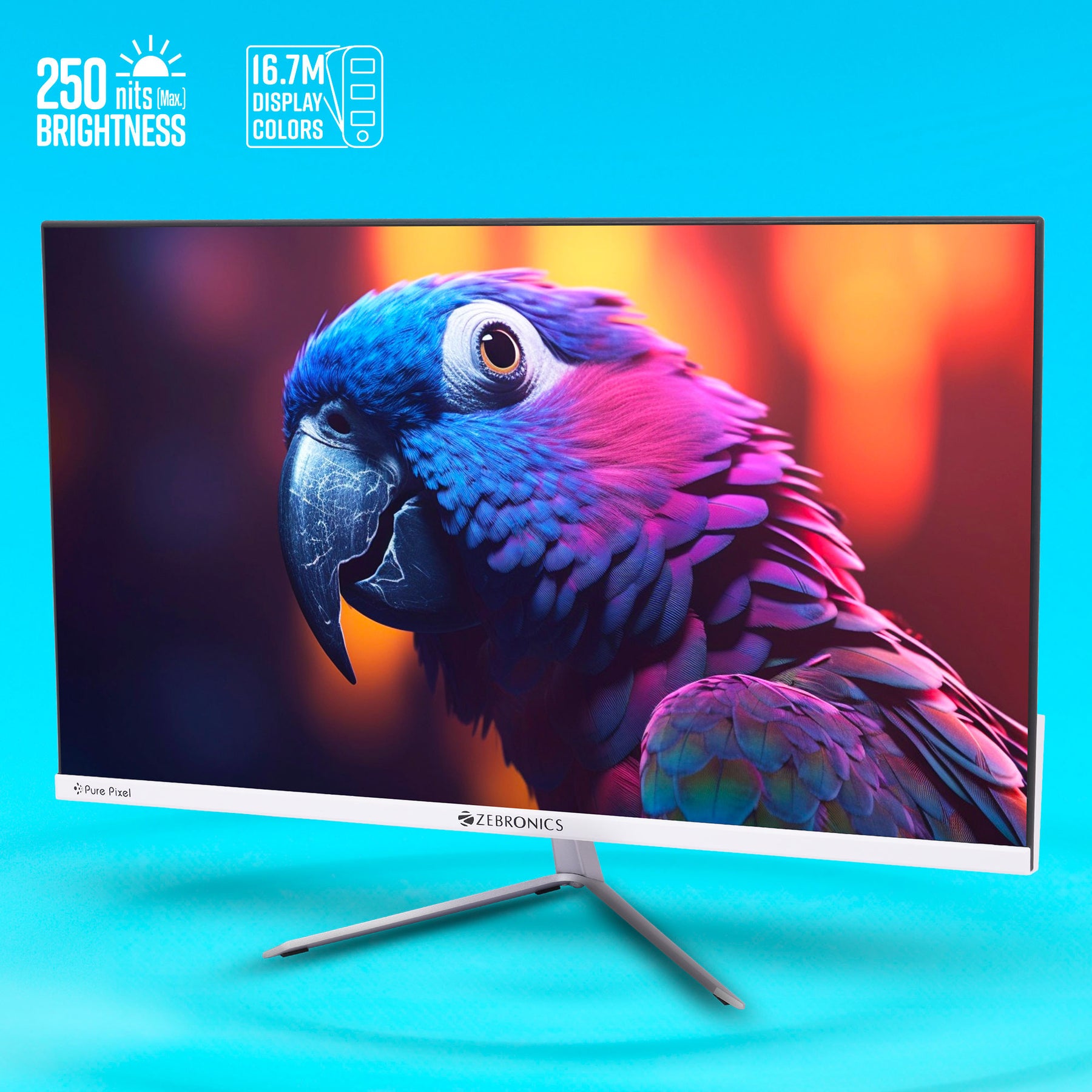 Zebronics EA124 (100Hz) LED Monitor