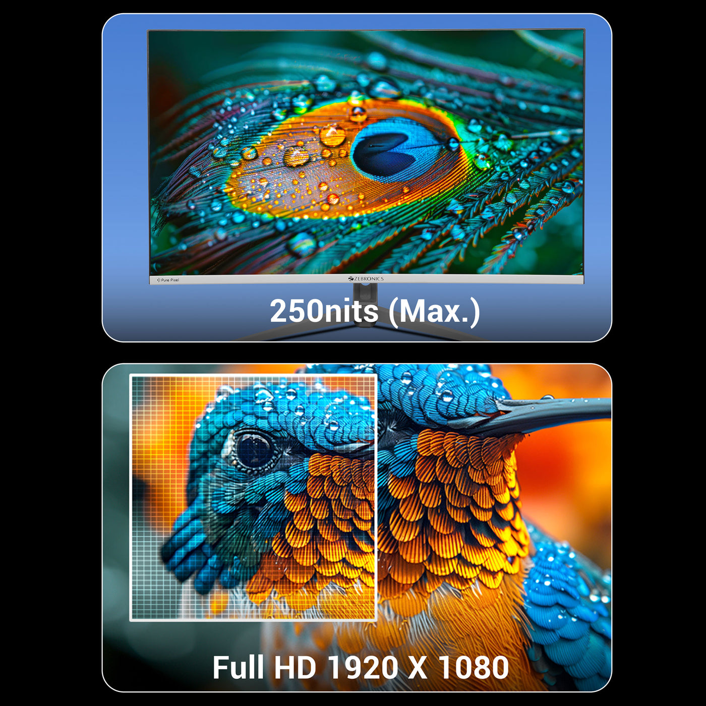 Zebronics EA320 LED Monitor