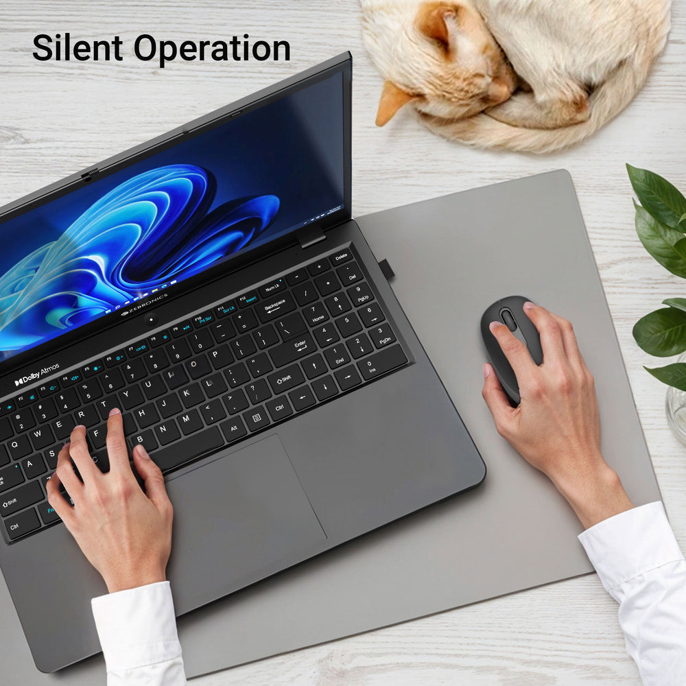 Zebronics Groot Wireless Mouse