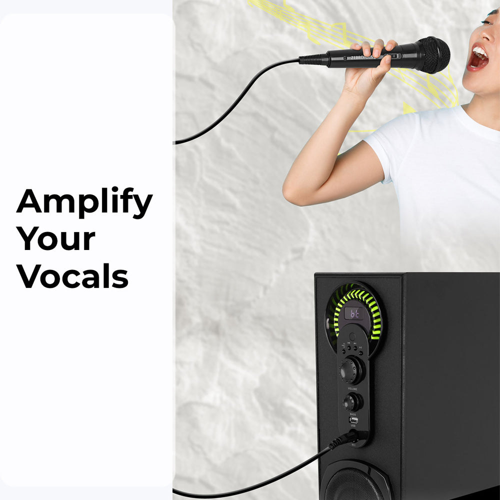 Zebronics Legend Plus Tower Speaker - 80W, karaoke, LED