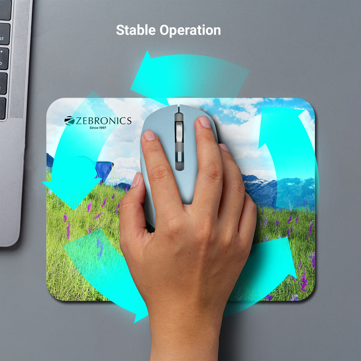 Zebronics MSP02 Mousepad
