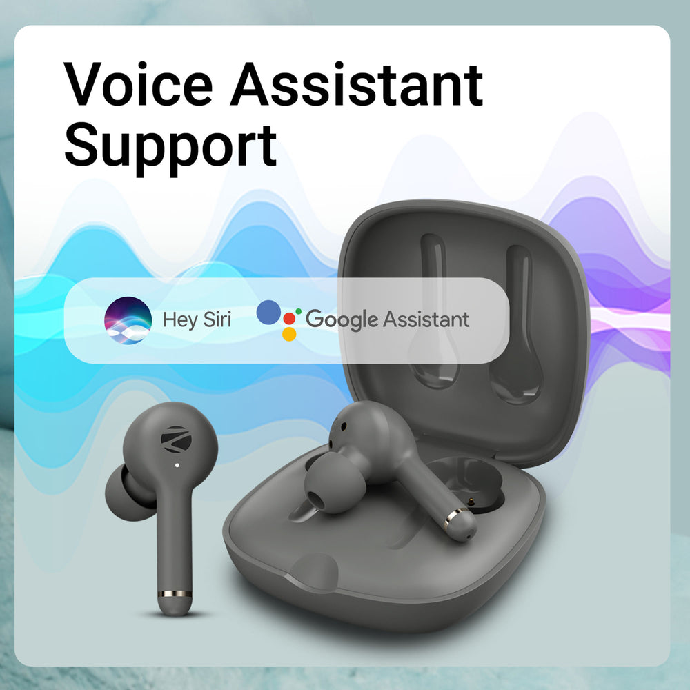 Zebronics Meteoroid Wireless Earbuds