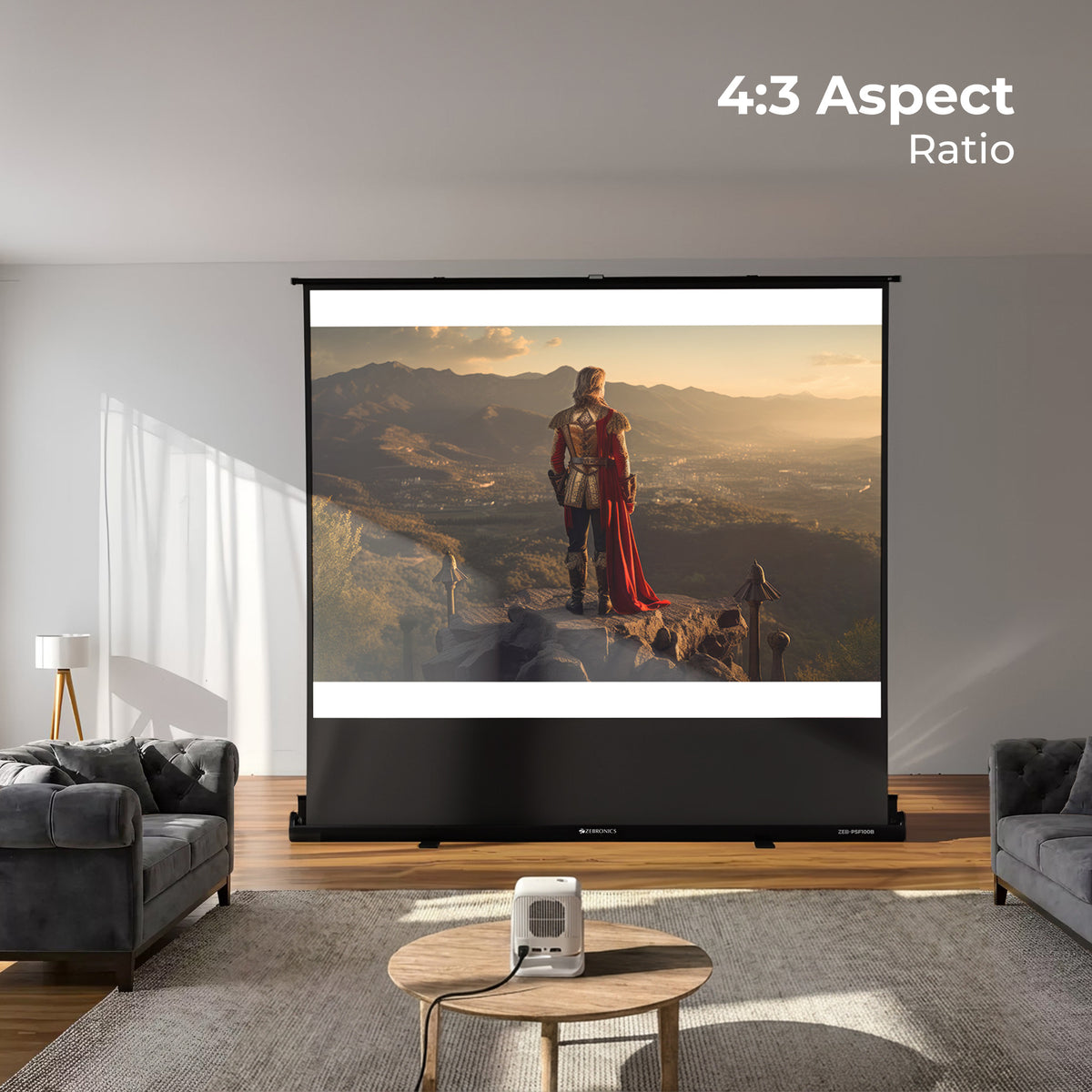 Zebronics PSF100B Projector Screen