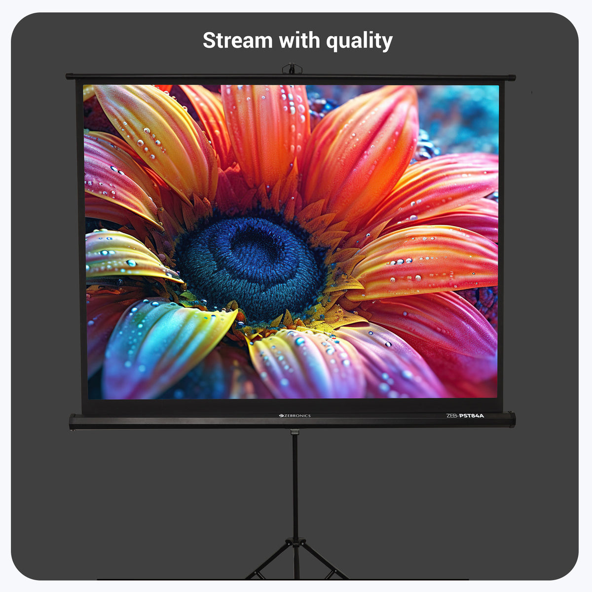 Zebronics PST84A Projector Screen