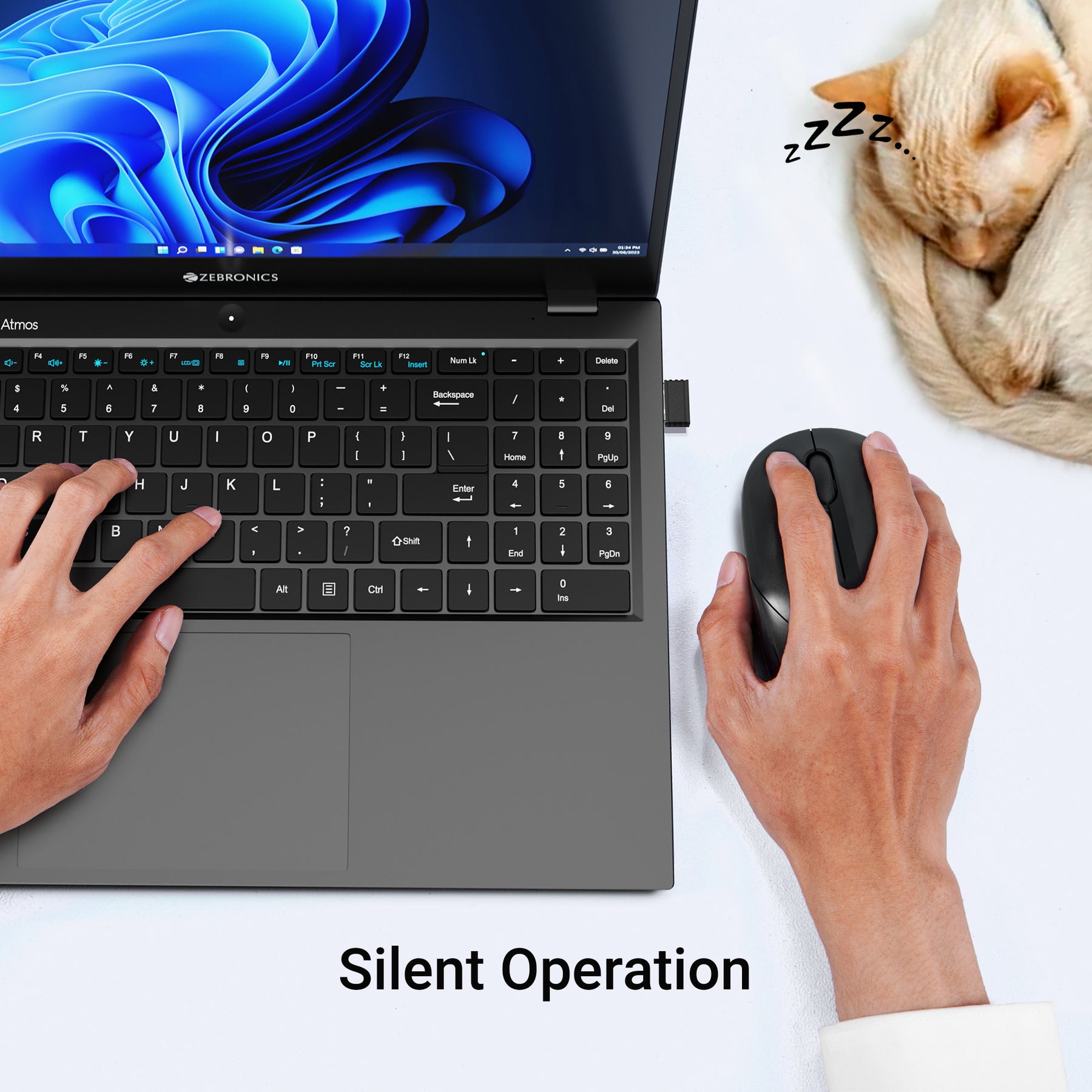 Zebronics panther Wireless Mouse