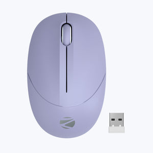 Zebronics panther Wireless Mouse