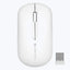 Zebronics Pulse Wireless Mouse
