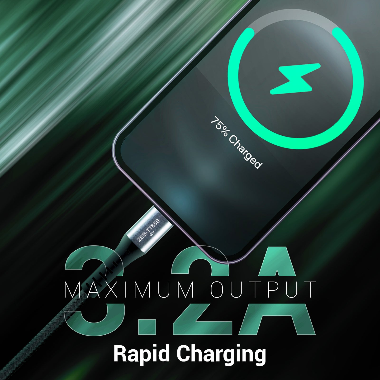 Zebronics TT65S - Type C to type C cable