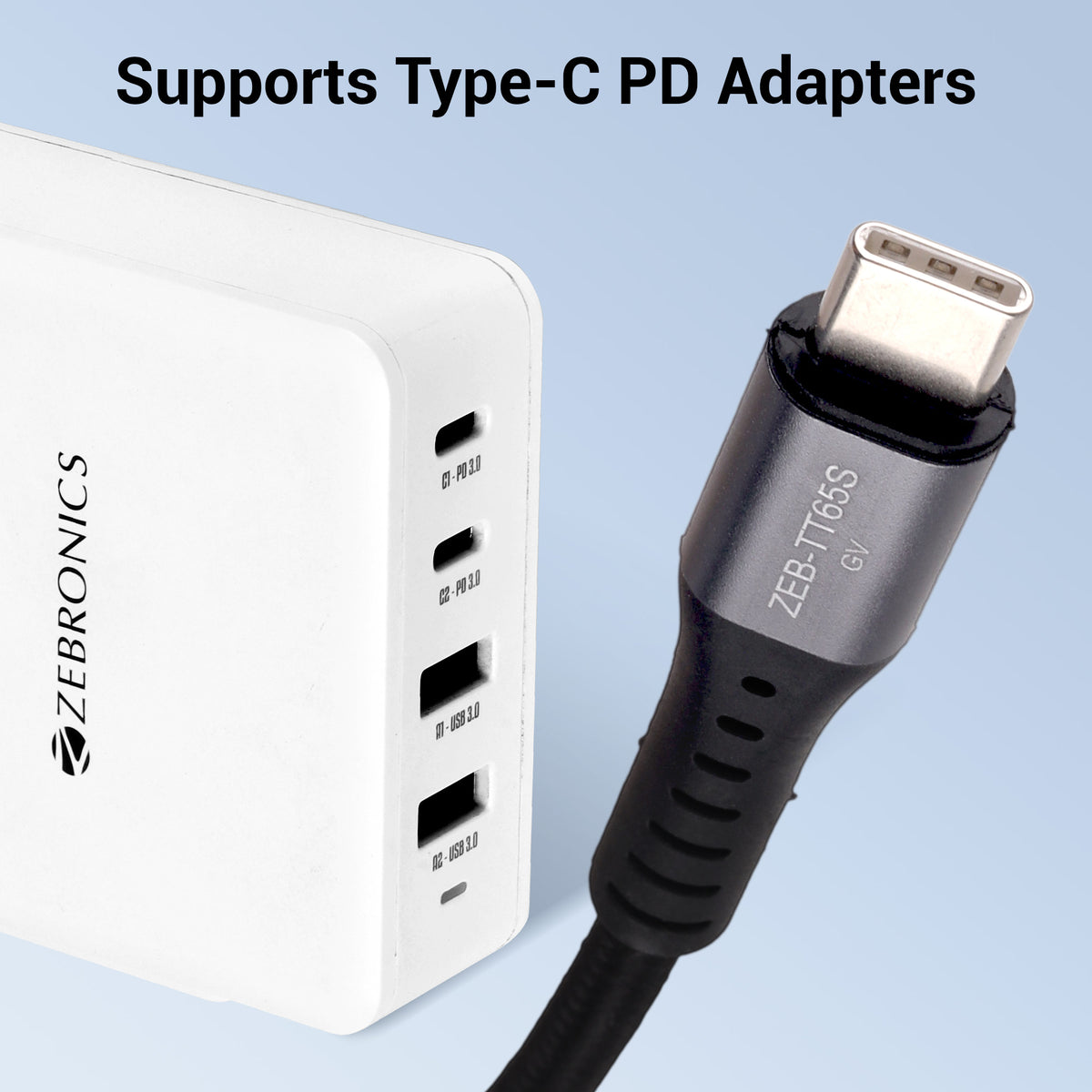 Zebronics TT65S - Type C to type C cable