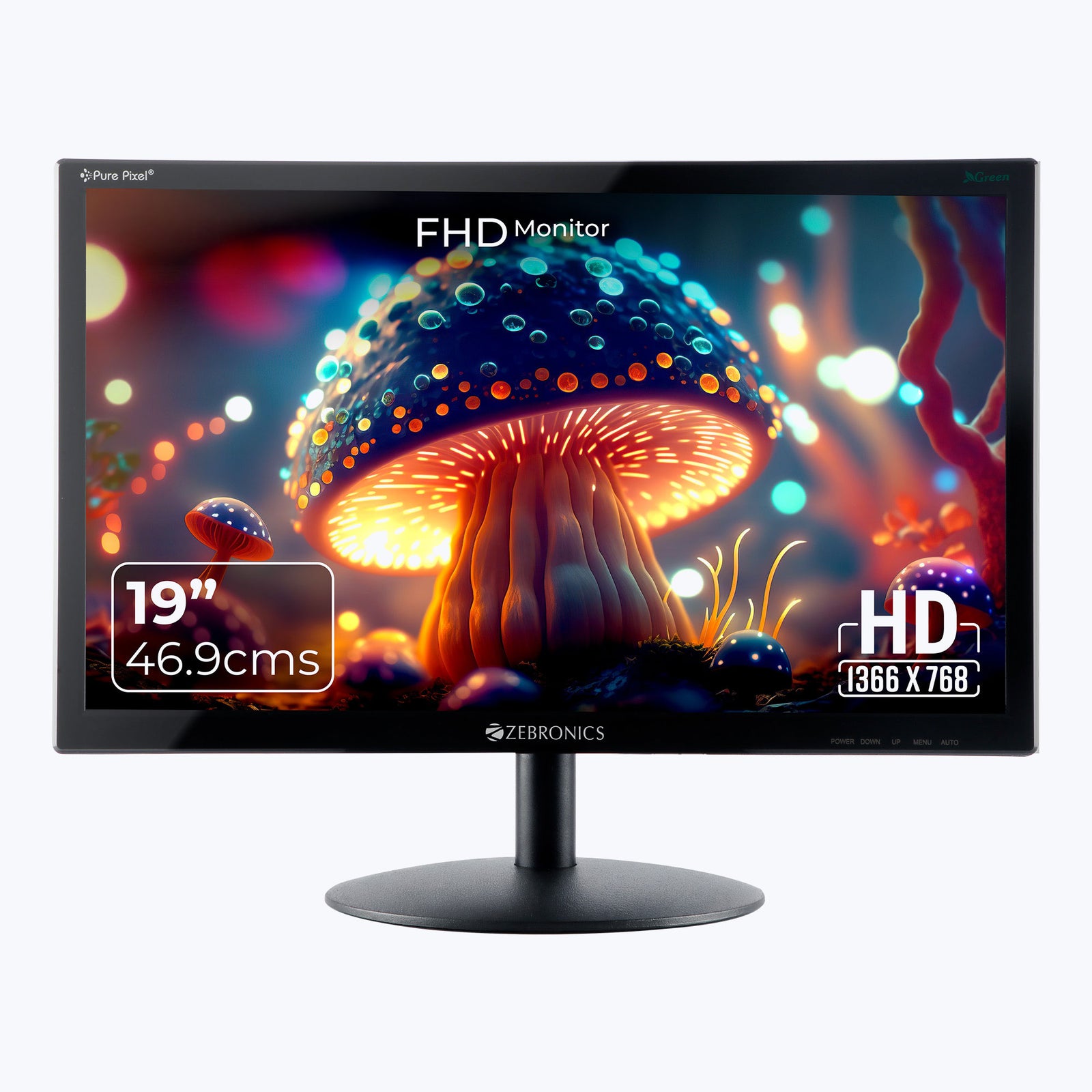 Zebronics V19 HD LED monitor