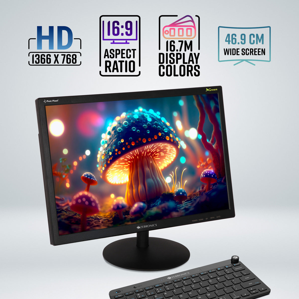 Zebronics V19 HD LED monitor