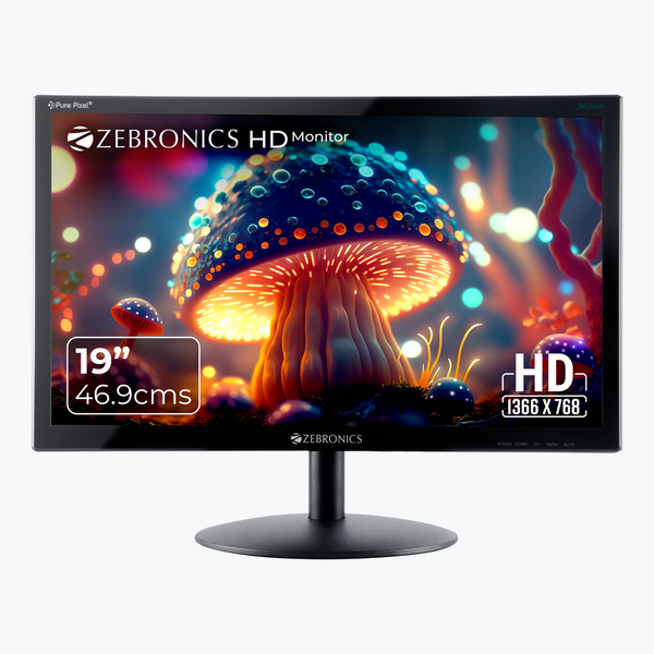 Zebronics V19 HD LED monitor