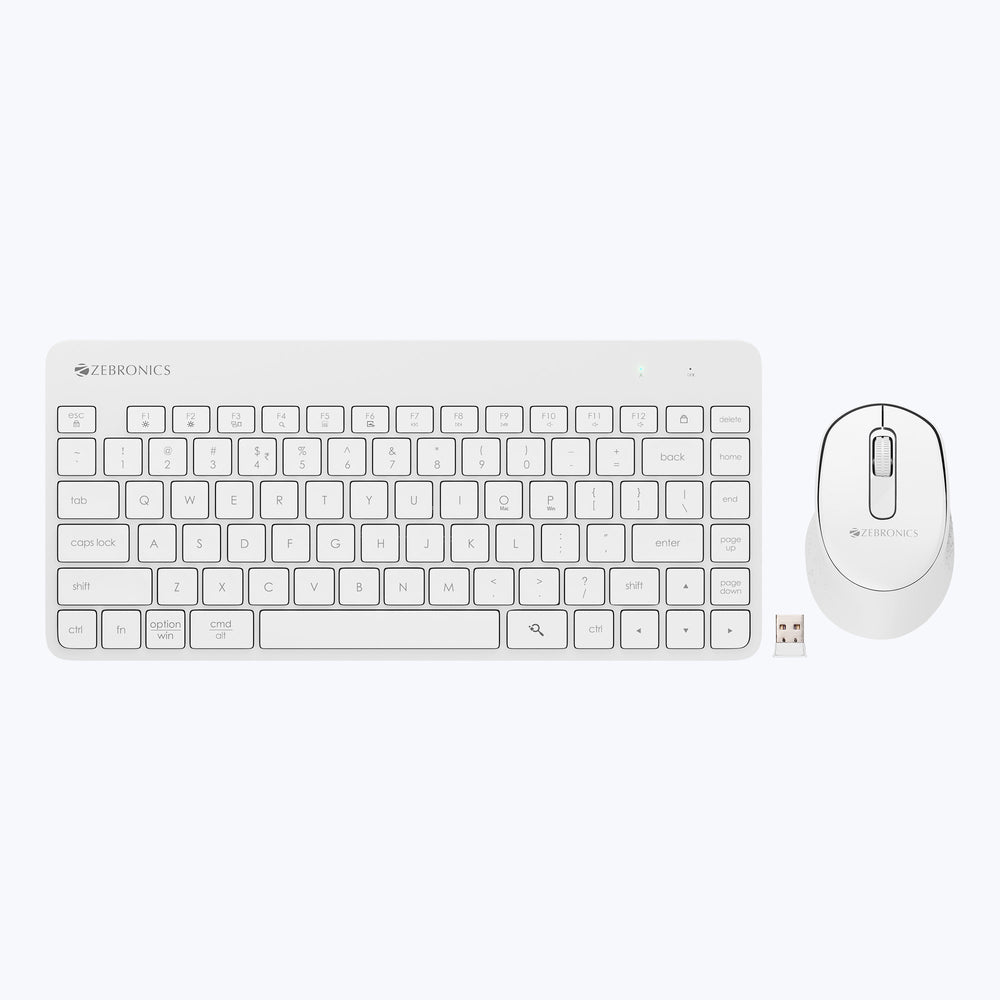 Zebronics Companion 201 Wireless Keyboard and Mouse combo