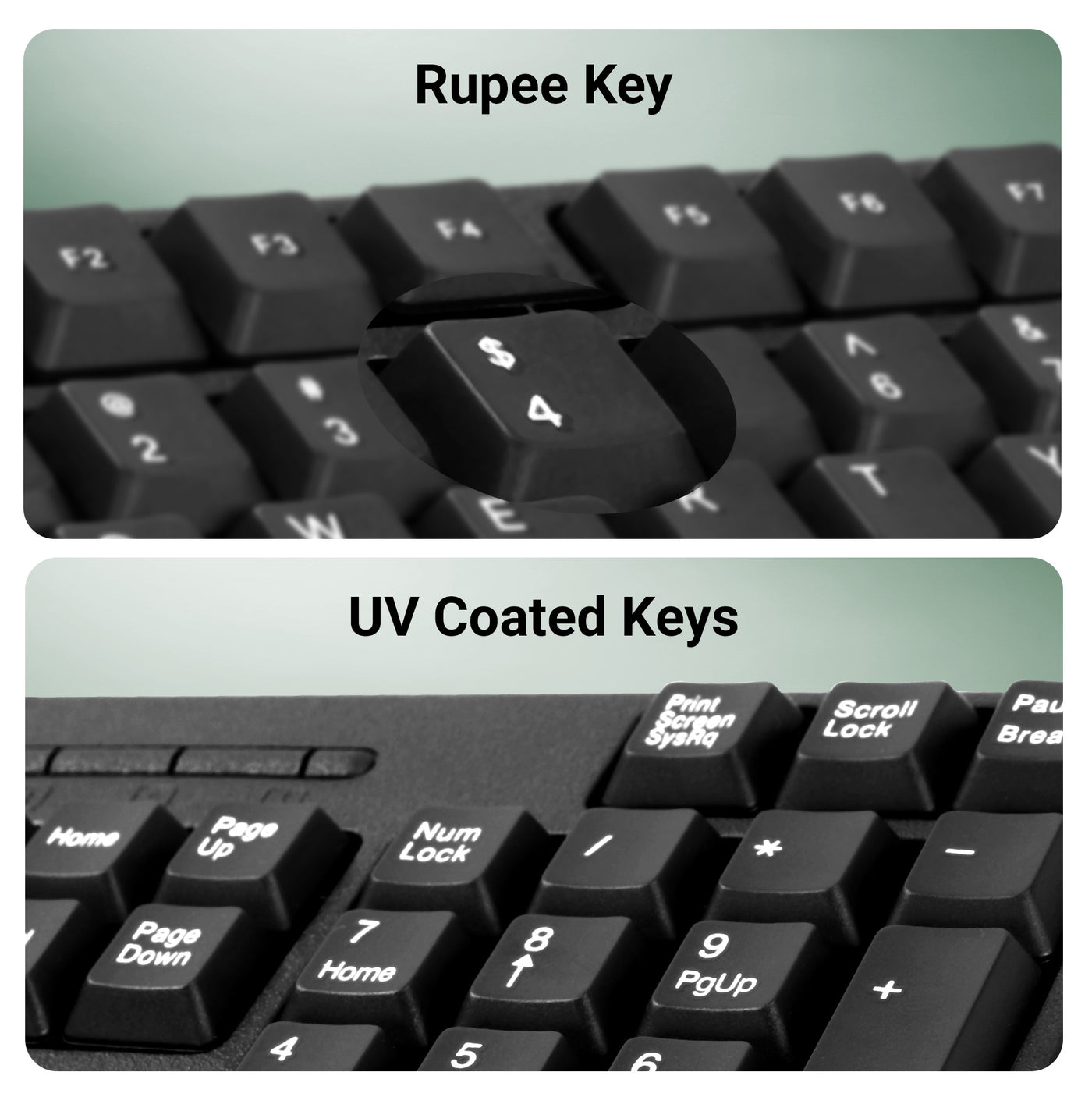 Zebronics K20 Keyboard