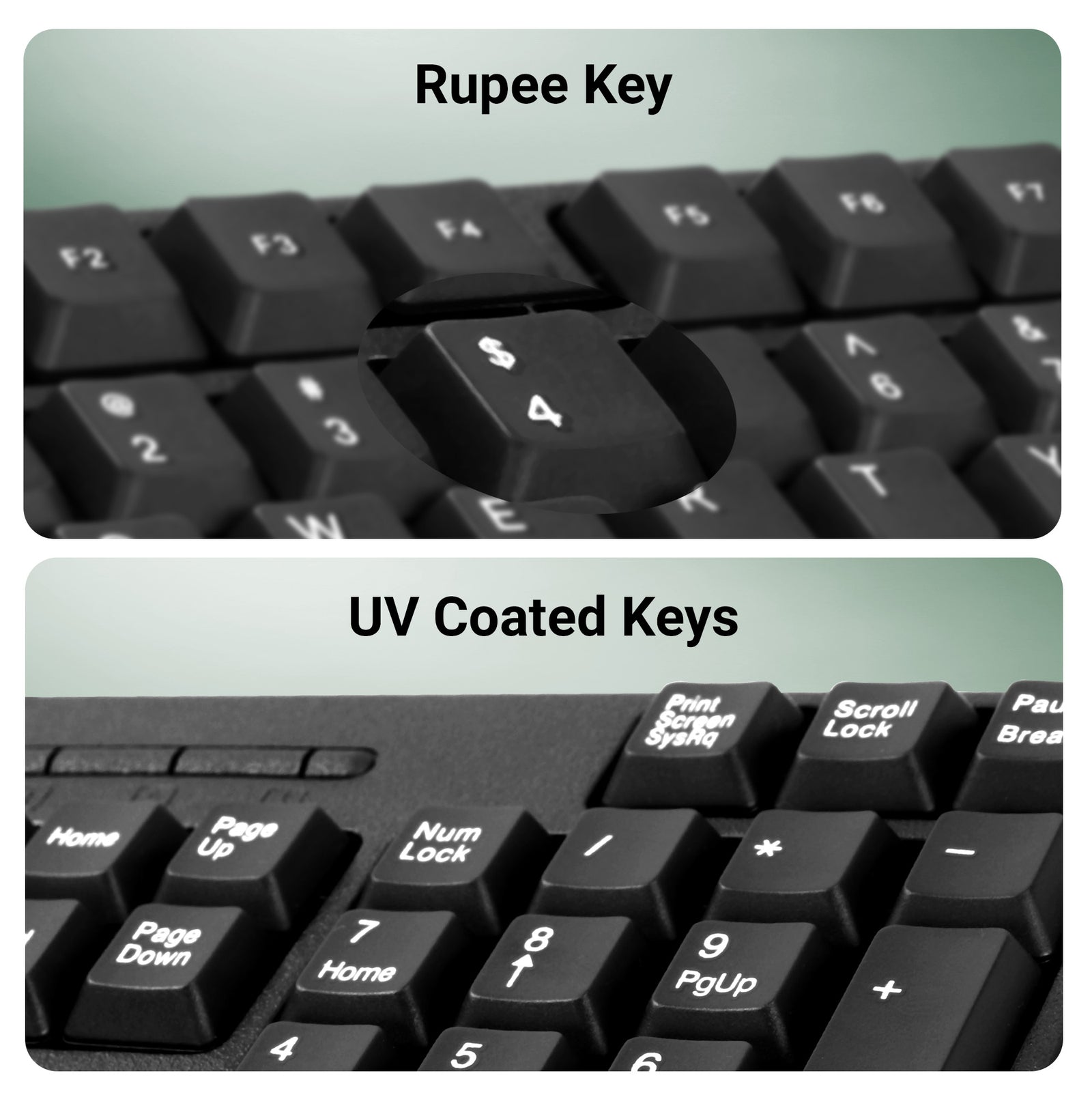 Zebronics K20 Keyboard