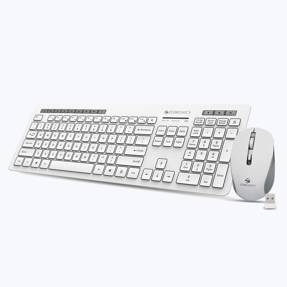 Zebronics Companion 500 Keyboard and Mouse Combo