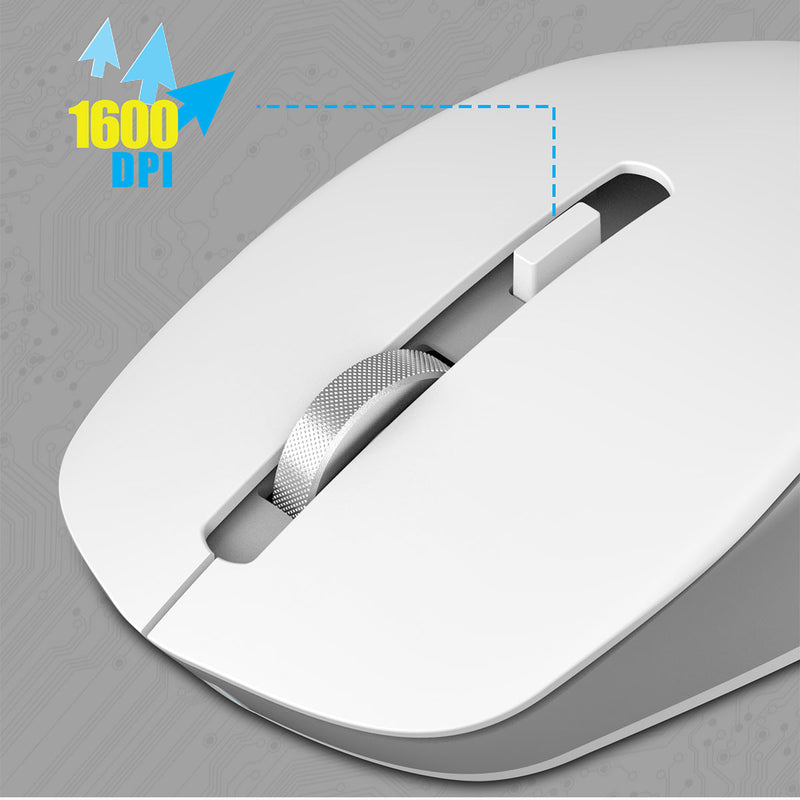 Zebronics Companion 500 Keyboard and Mouse Combo