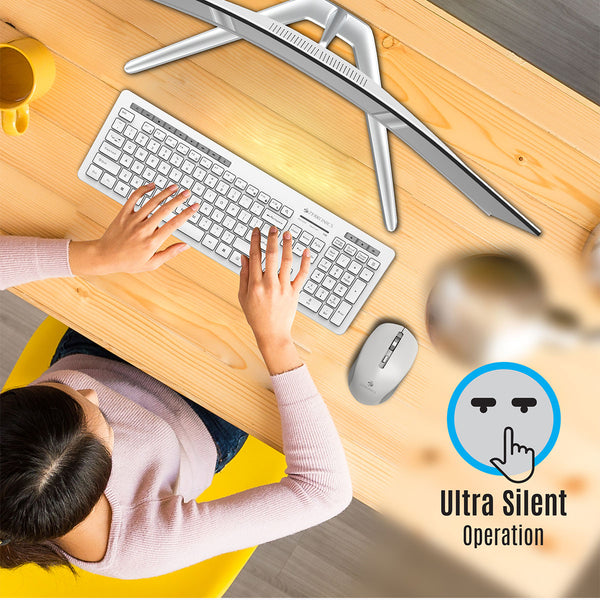 Zebronics Companion 500 Keyboard and Mouse Combo