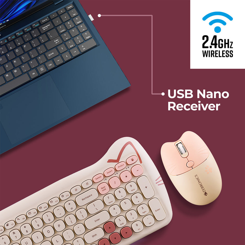 Zebronics Companion 303 Wireless Keyboard and mouse combo