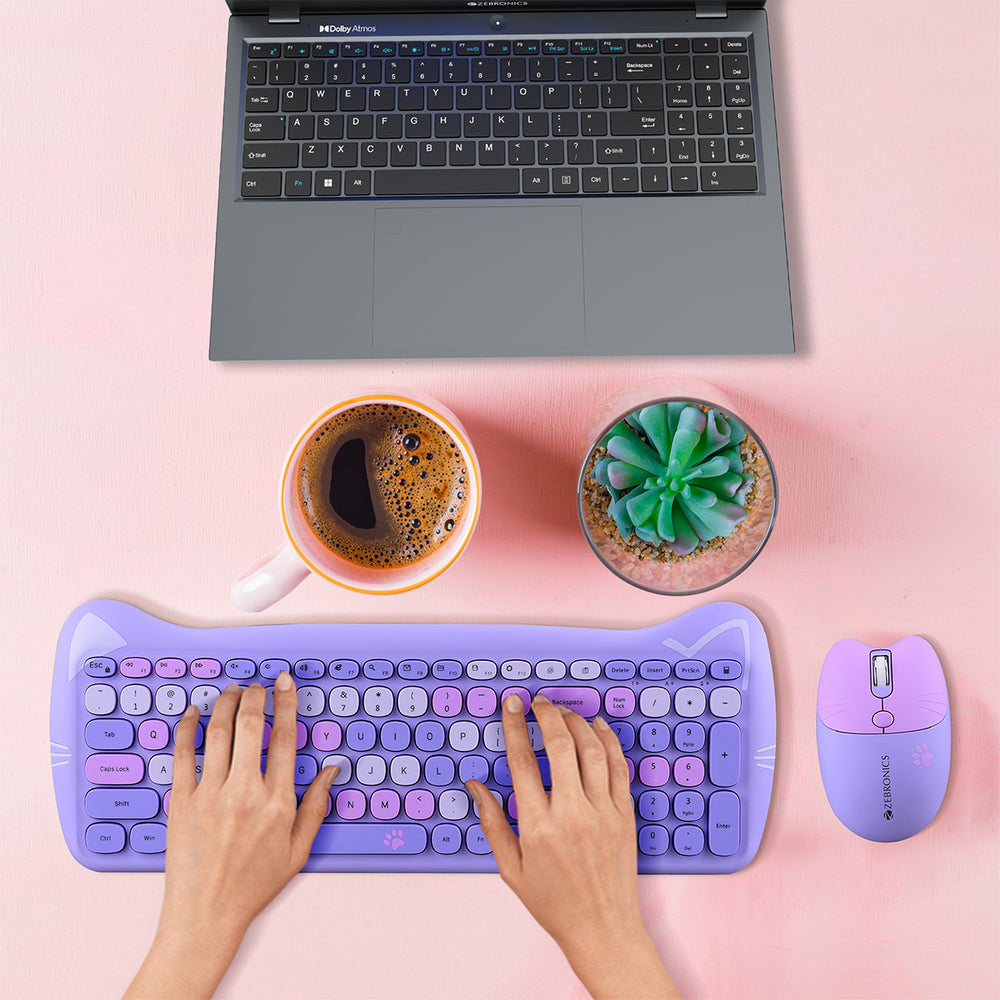 Zebronics Companion 303 Wireless Keyboard and mouse combo