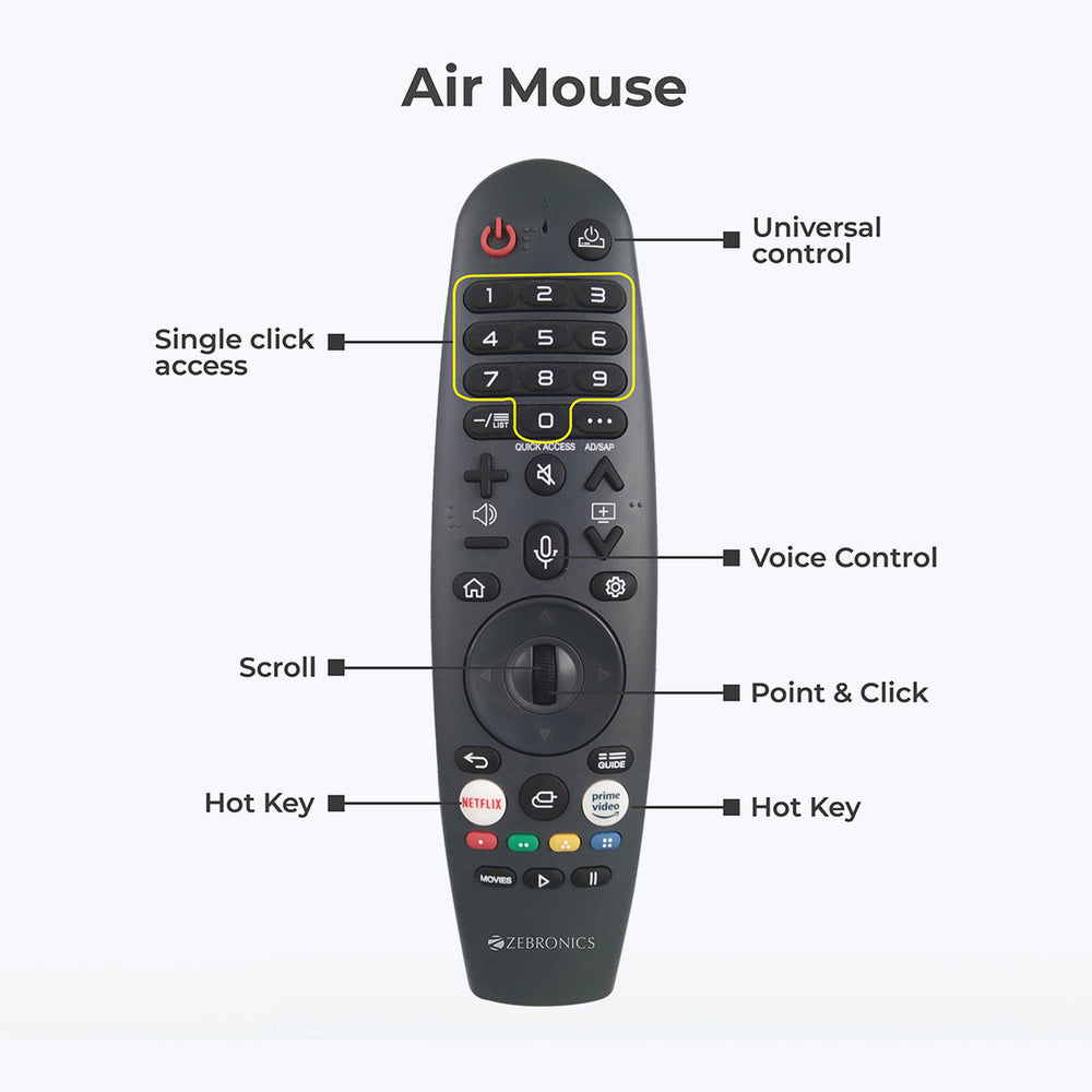 Zebronics 55W2 LED TV