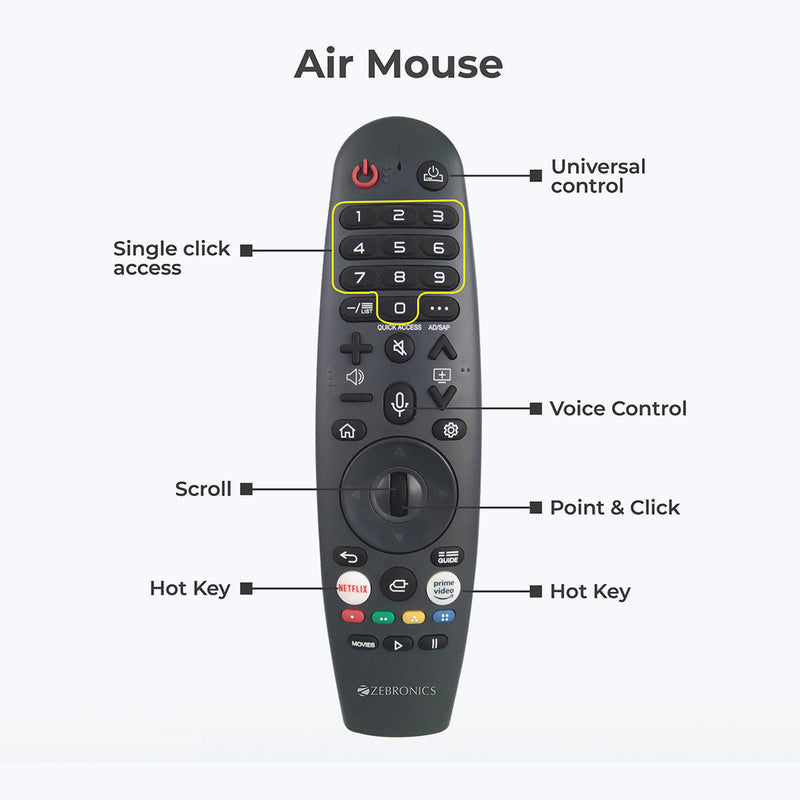 Zebronics 55W2 LED TV