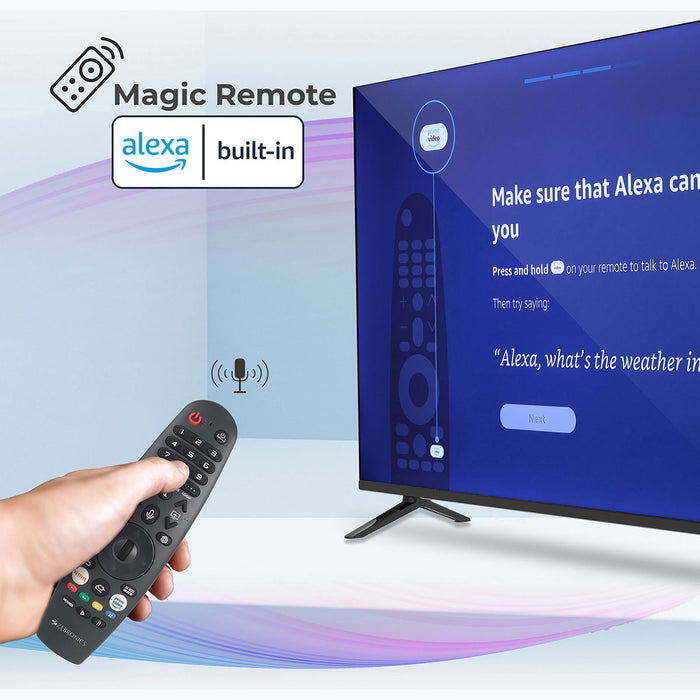 Zebronics 55W2 LED TV