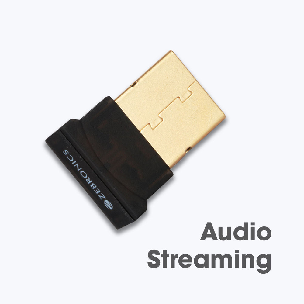 Zebronics USB100BT USB Adapter