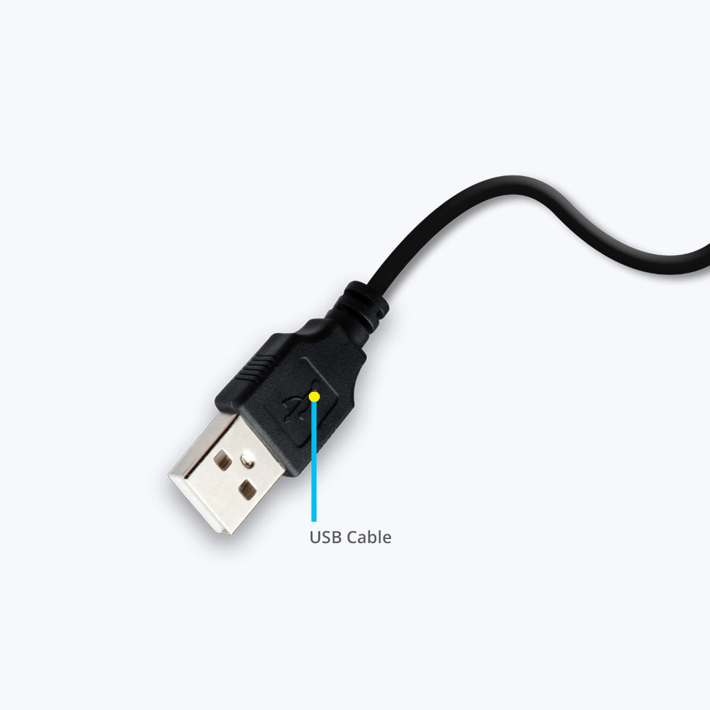 Zebronics Alex Wired Mouse